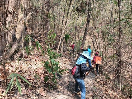 ผู้นำชุมชน ประชาชนจิตอาสาและ ชุดดับไฟป่าหมู่บ้าน อ.พญาเม็งราย ร่วมลง ...